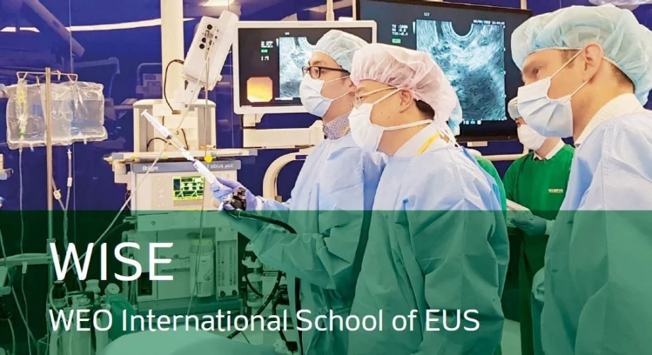 The WEO International School of EUS (WISE) Egyptian Chapter 2022 – Call ...