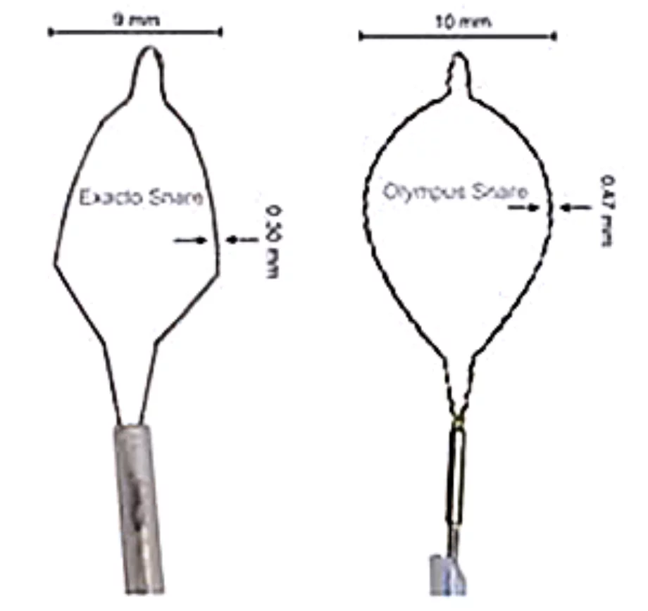 Cold snare polypectomy for removal of colonic lesions | World Endoscopy ...