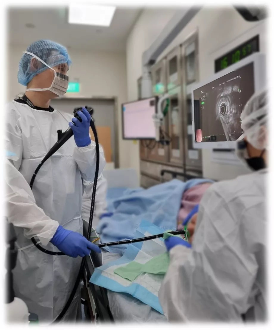 WISE Update | World Endoscopy Organization